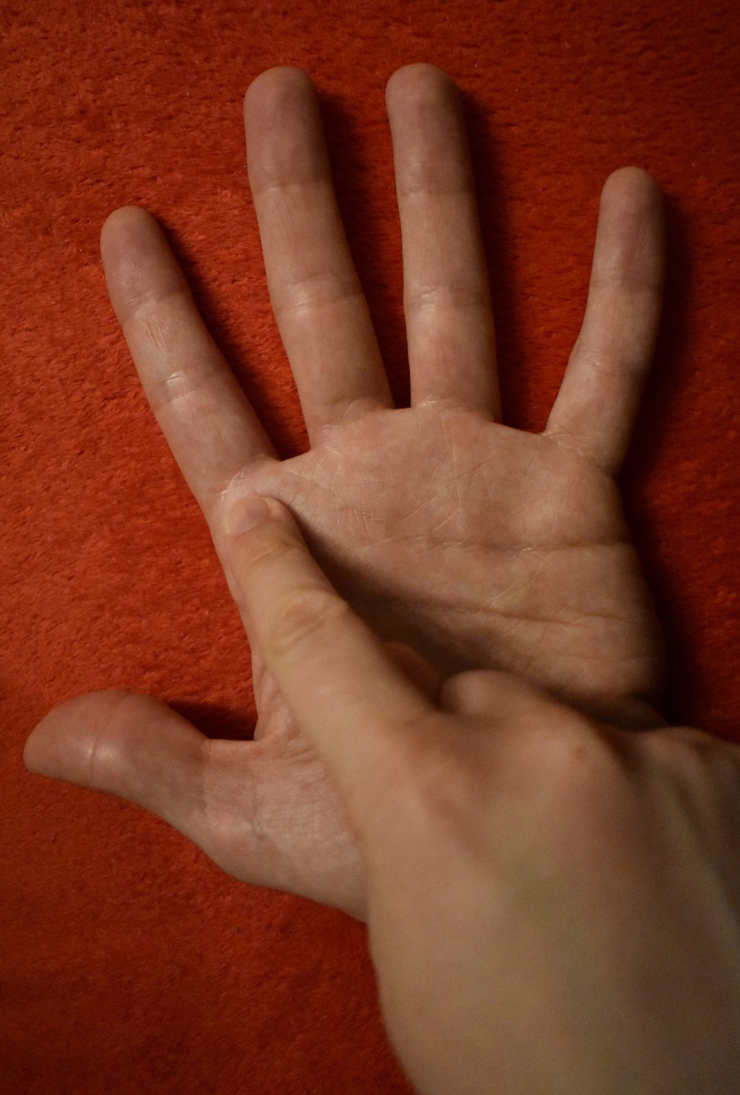 Zahlenbausteine – MEDIA | PHST